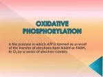 PPT - Oxidative phosphorylation PowerPoint Presentation, free download ...