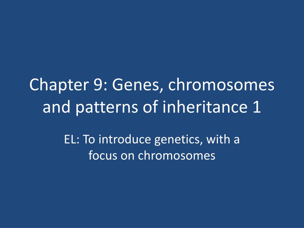 PPT - Chapter 9: Genes, chromosomes and patterns of inheritance 1 ...