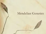 PPT - Inheritance: Mendelian Genetics PowerPoint Presentation, free ...
