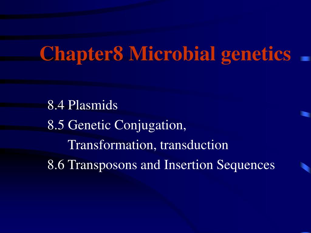 PPT - Chapter8 Microbial genetics PowerPoint Presentation, free download - ID:4020994