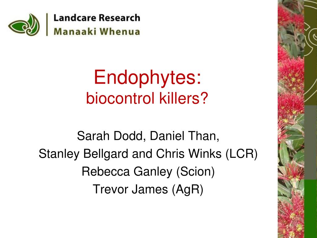 PPT - Endophytes: biocontrol killers? PowerPoint Presentation, free ...