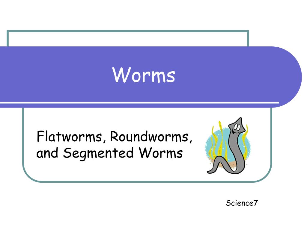 PPT - Worms PowerPoint Presentation, free download - ID:4025727