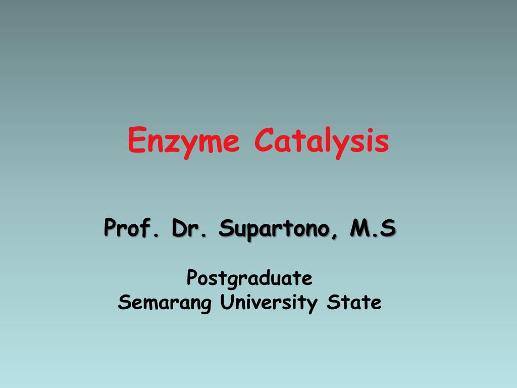 PPT - Enzyme Catalysis PowerPoint Presentation, free download - ID:4027634