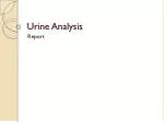 PPT - Urine Analysis PowerPoint Presentation, free download - ID:6585992