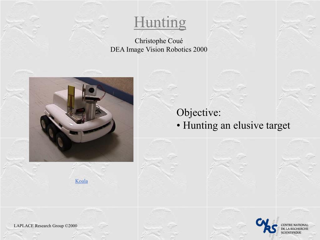 PPT - Hunting PowerPoint Presentation, free download - ID:4040447