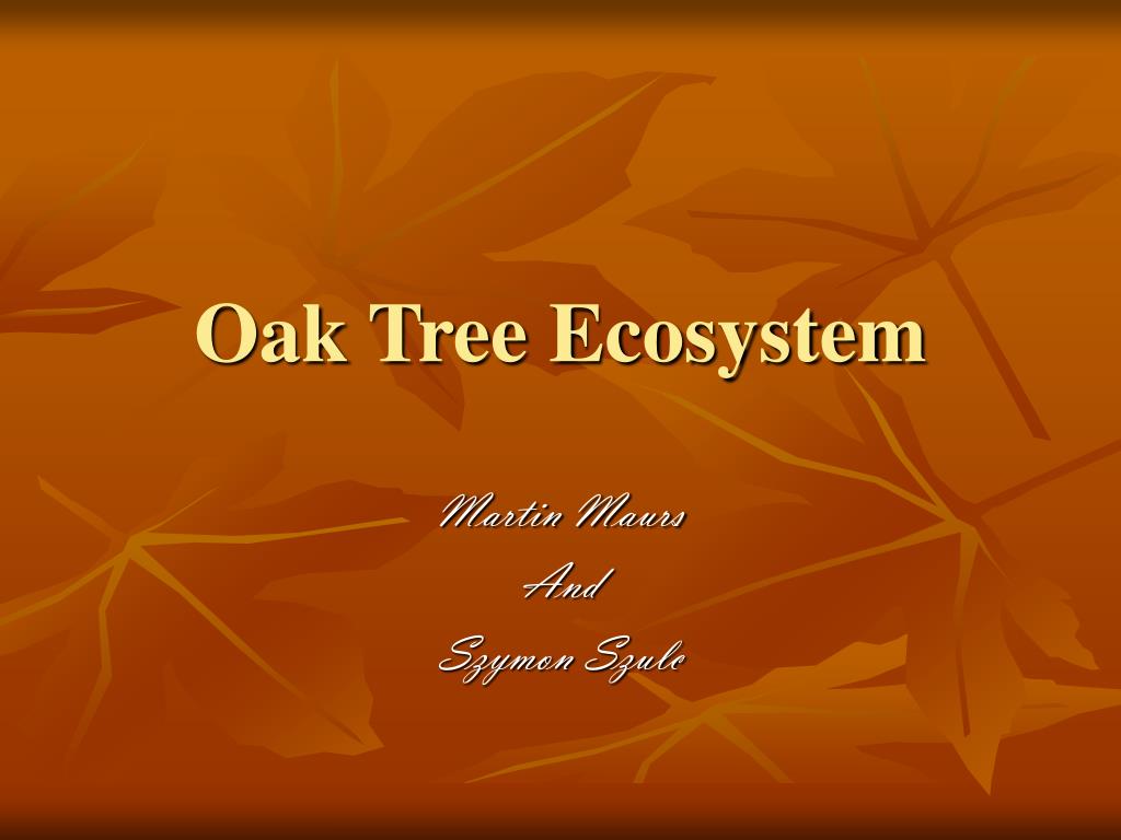PPT - Oak Tree Ecosystem PowerPoint Presentation, free download - ID ...