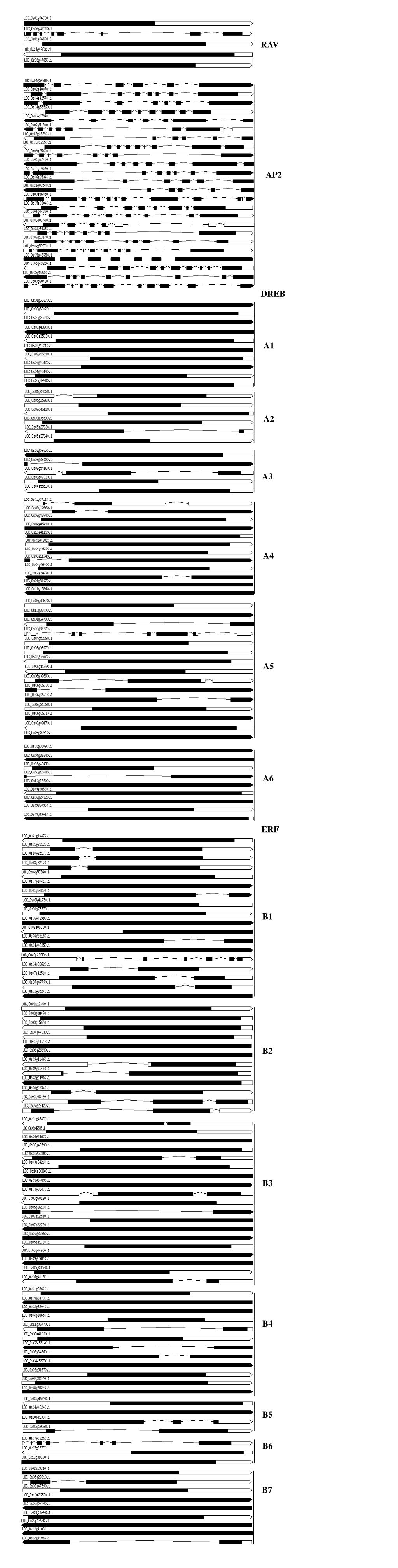 PPT - B7 PowerPoint Presentation, free download - ID:4045486