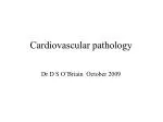 PPT - Pathology of Cardiovascular System PowerPoint Presentation, free ...