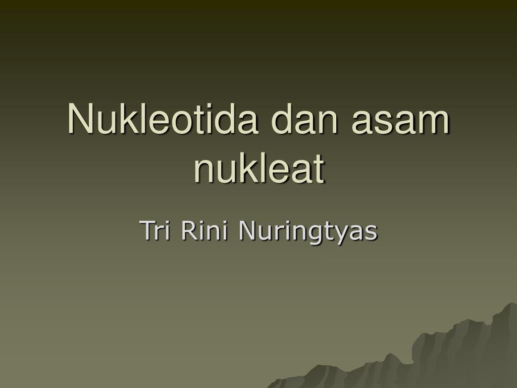 PPT - Nukleotida dan asam nukleat PowerPoint Presentation, free ...