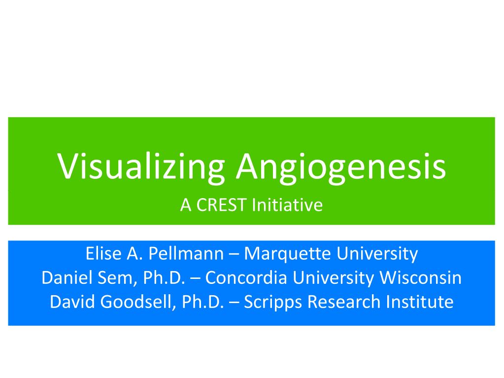 PPT - Visualizing Angiogenesis PowerPoint Presentation, free download ...