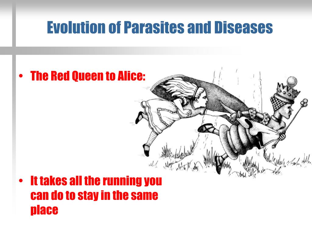 PPT - Evolution of Parasites and Diseases PowerPoint Presentation, free ...