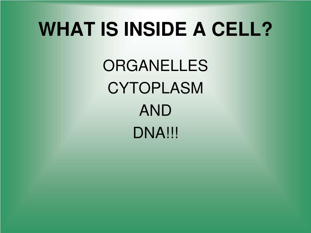 PPT - WHAT IS INSIDE A CELL? PowerPoint Presentation, free download ...