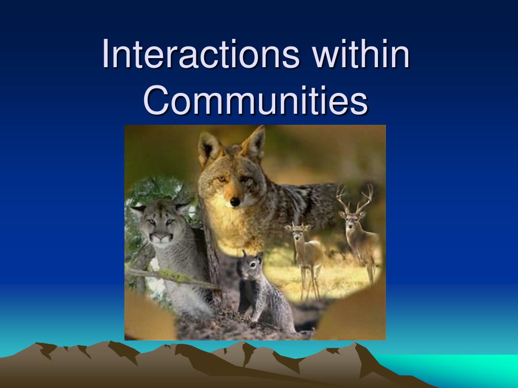 PPT - Interactions within Communities PowerPoint Presentation, free ...