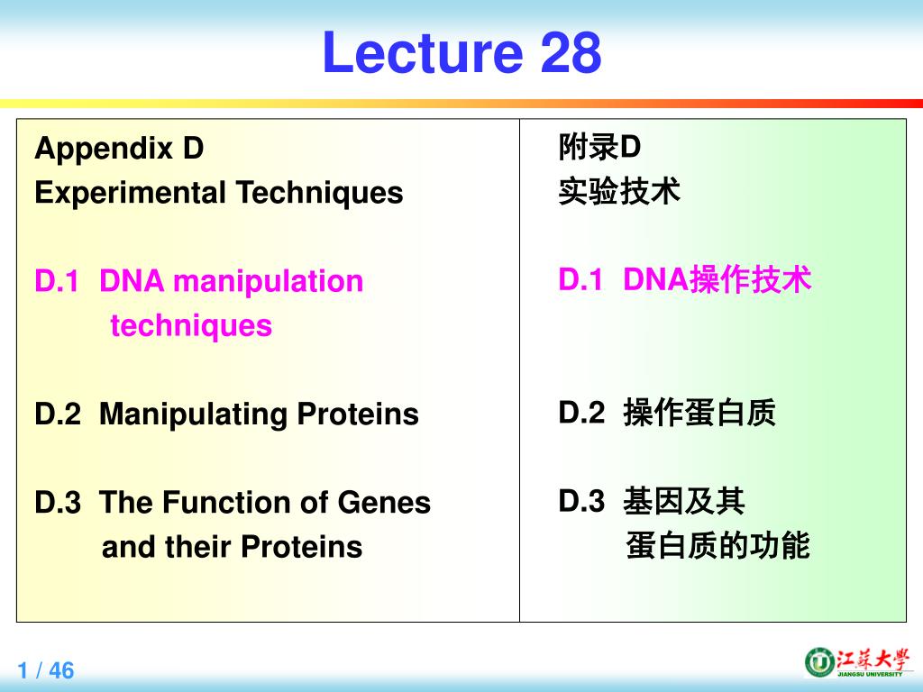 PPT - Lecture 28 PowerPoint Presentation, free download - ID:4067937