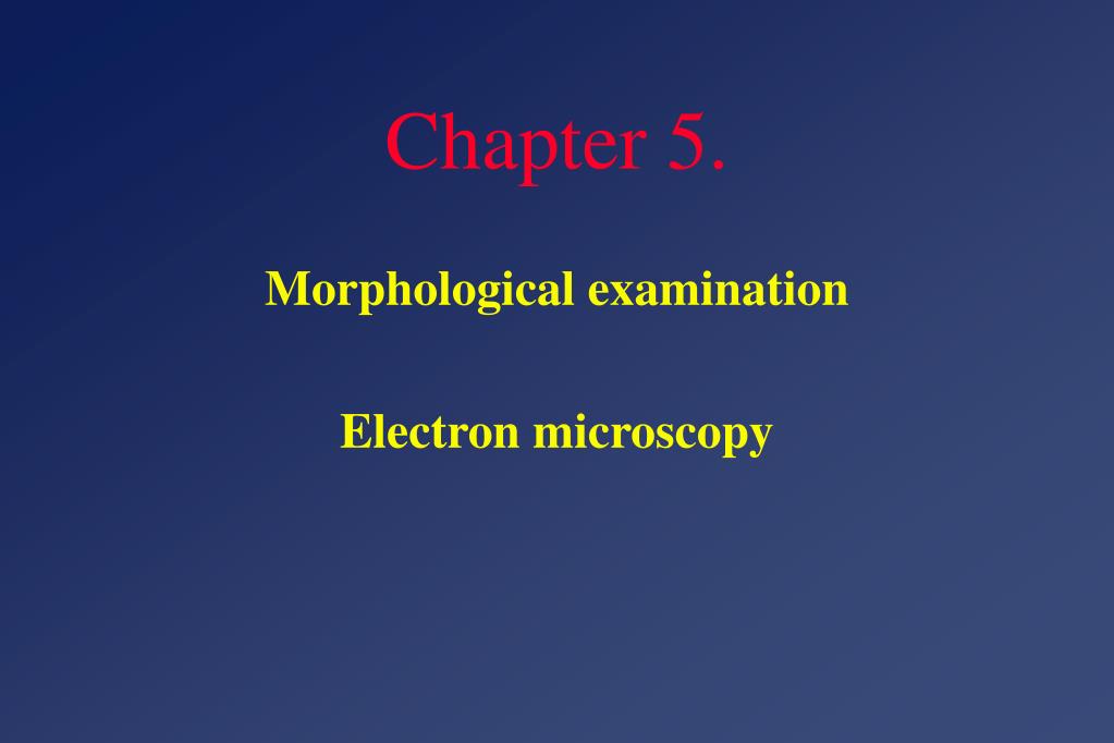 PPT - Chapter 5. PowerPoint Presentation, free download - ID:4069545