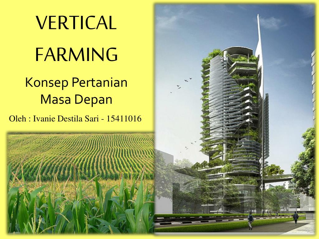 PPT - VERTICAL FARMING PowerPoint Presentation, free download - ID:4083558