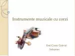 PPT - INSTRUMENTE CU COARDE PowerPoint Presentation, free download - ID ...