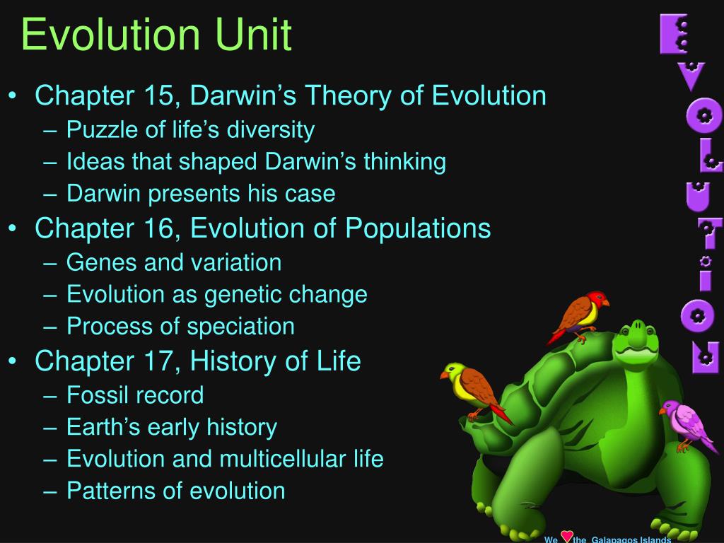 PPT - Evolution Unit PowerPoint Presentation, free download - ID:4094239