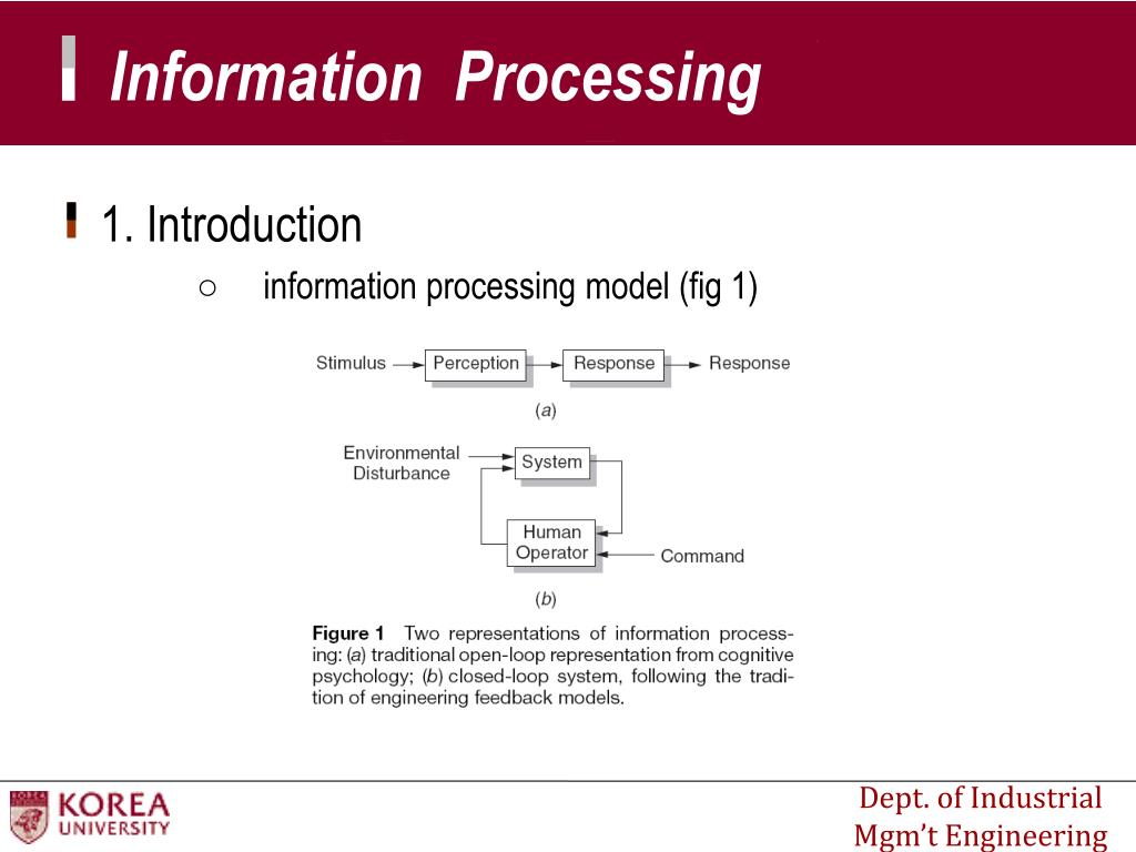 PPT - Information Processing PowerPoint Presentation, free download ...