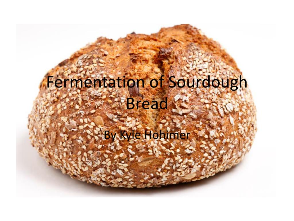 PPT - Fermentation of Sourdough Bread PowerPoint Presentation, free ...