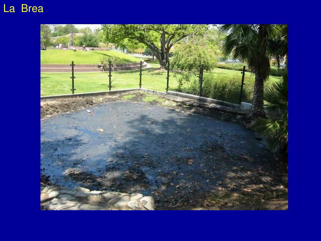 PPT - La Brea PowerPoint Presentation, free download - ID:4101772