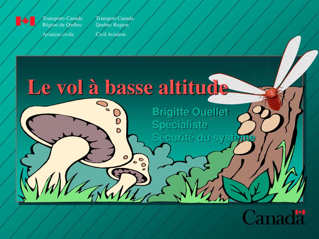 PPT - Le vol à basse altitude PowerPoint Presentation, free download ...