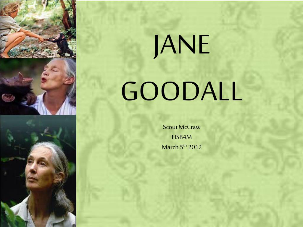 PPT - JANE GOODALL PowerPoint Presentation, free download - ID:4102451