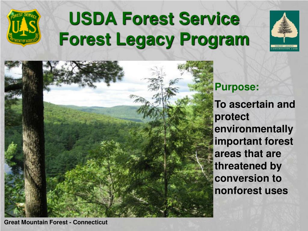 PPT - USDA Forest Service Forest Legacy Program PowerPoint Presentation ...