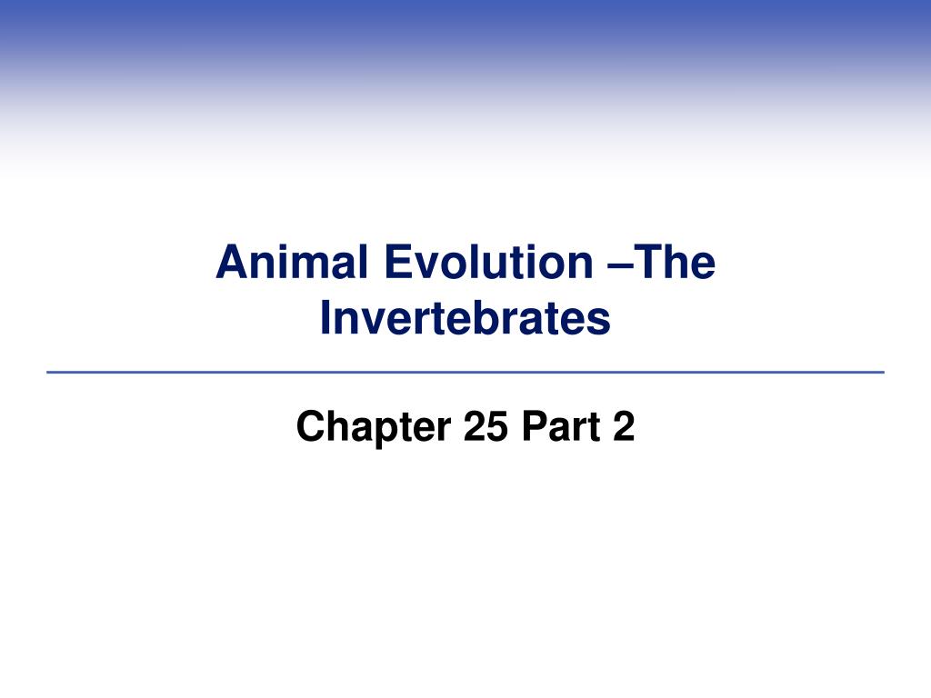 PPT - Animal Evolution –The Invertebrates PowerPoint Presentation, free ...