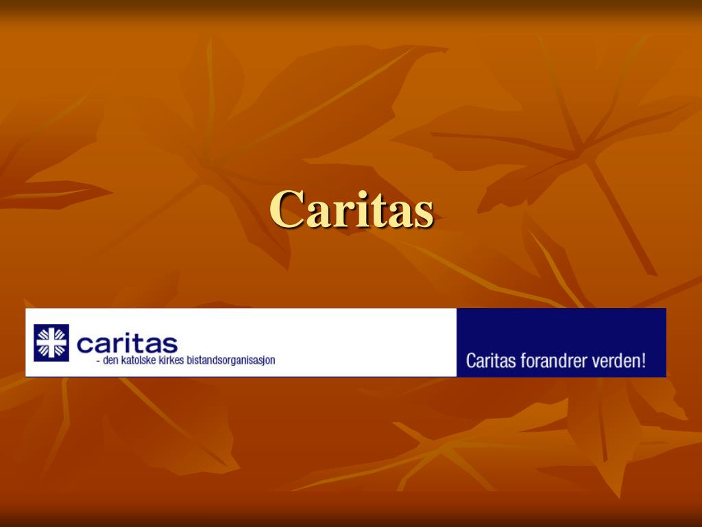 PPT - Caritas PowerPoint Presentation, free download - ID:4107503