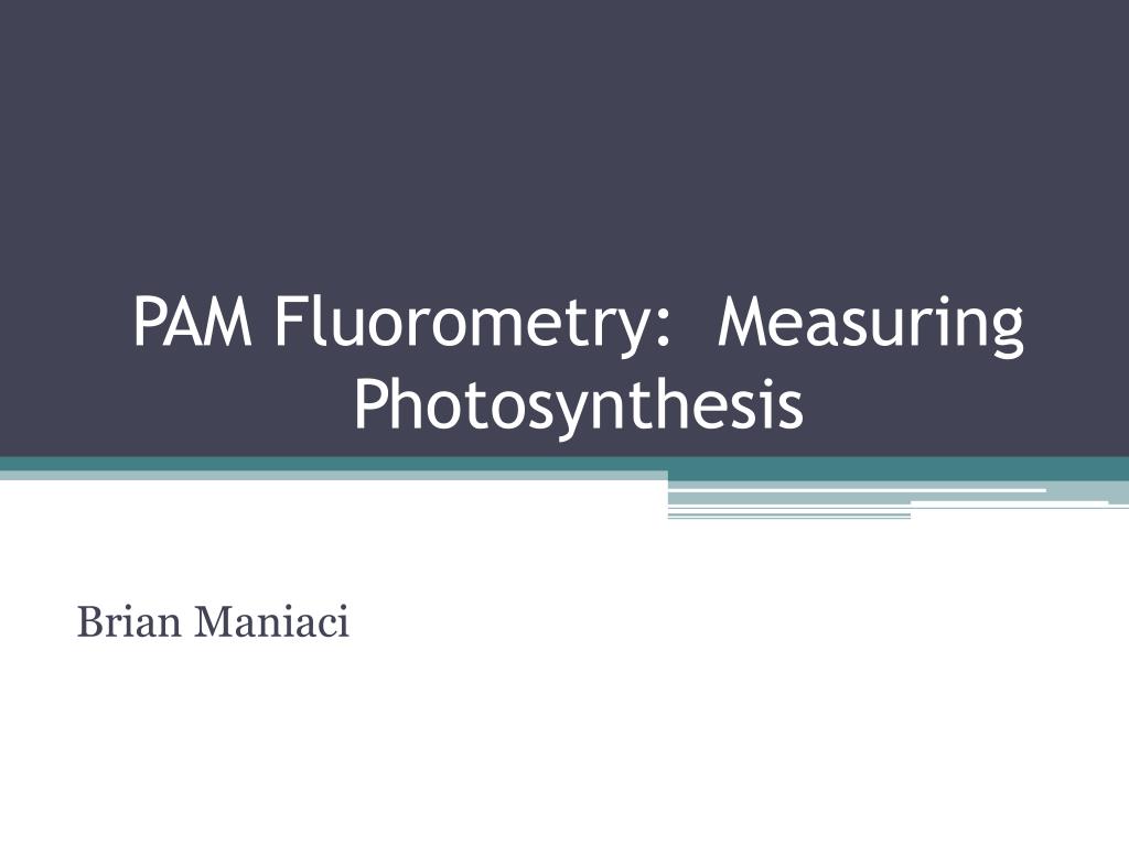 PPT - PAM Fluorometry: Measuring Photosynthesis PowerPoint Presentation ...