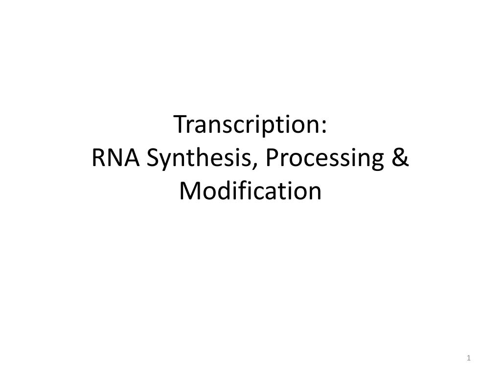 PPT - Transcription: RNA Synthesis, Processing & Modification ...