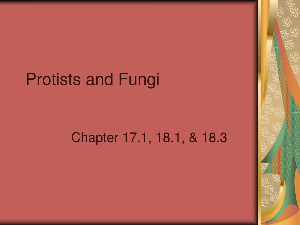 PPT - Protists and Fungi PowerPoint Presentation, free download - ID ...