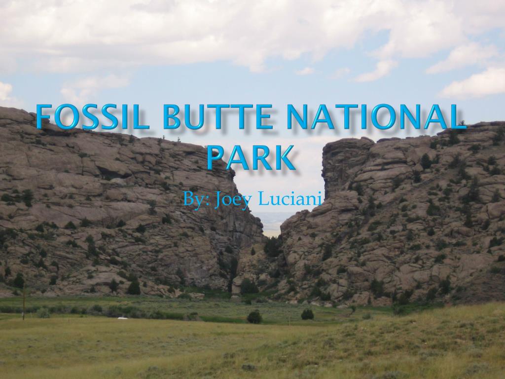 PPT - Fossil Butte National Park PowerPoint Presentation, free download ...
