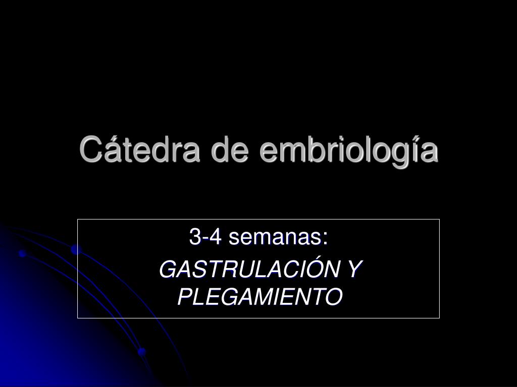 PPT - Cátedra de embriología PowerPoint Presentation, free download ...