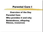 PPT - Parental Care PowerPoint Presentation, free download - ID:550289