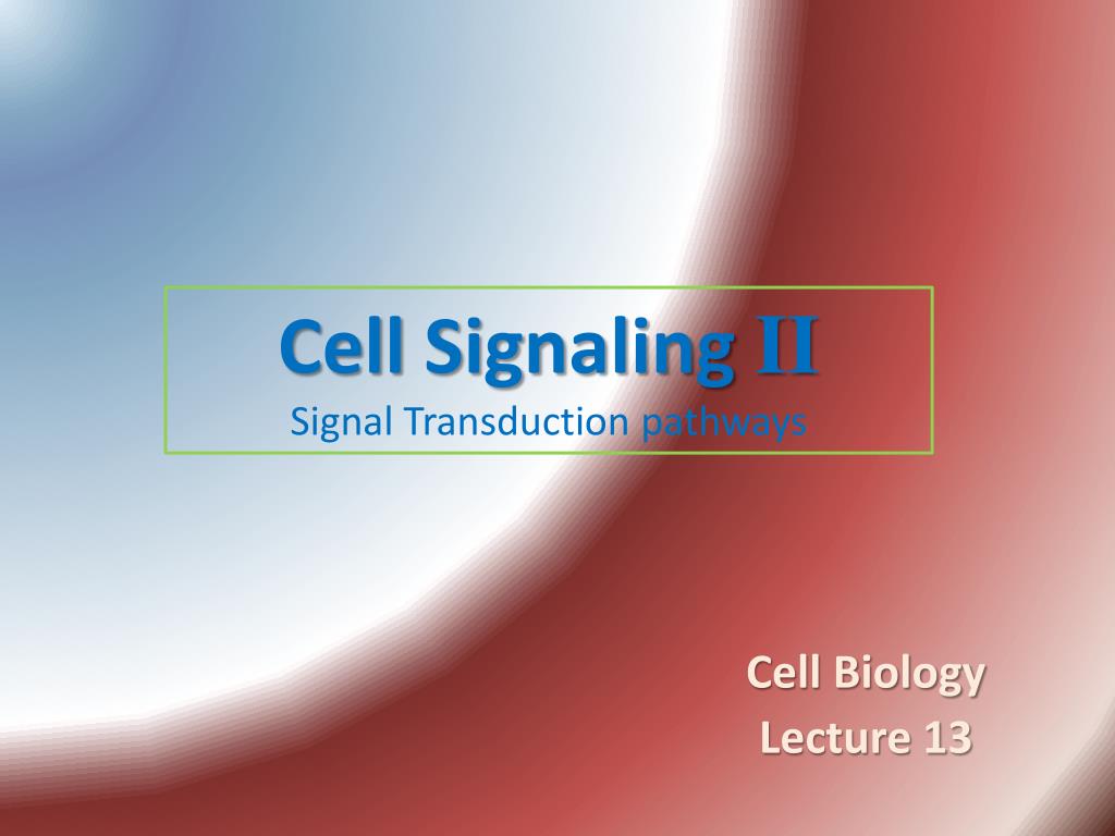 PPT - Cell Signaling II Signal Transduction pathways PowerPoint ... PPT - Cell Signaling II Signal Transduction pathways PowerPoint ...