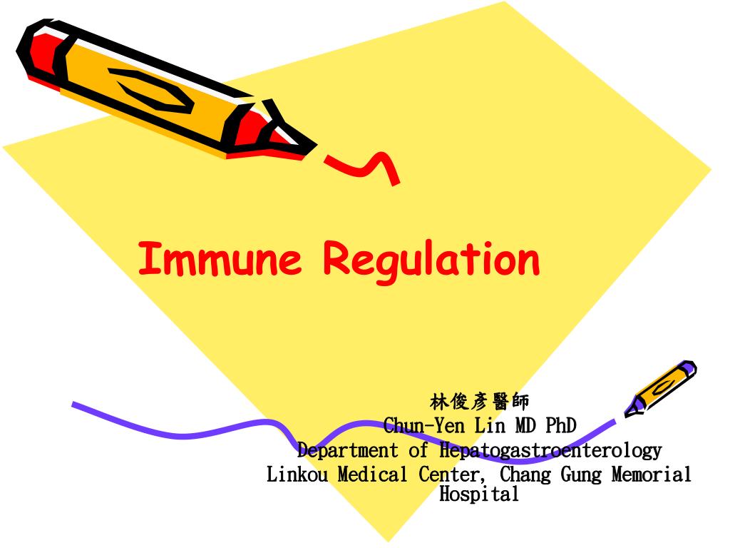 PPT - Immune Regulation PowerPoint Presentation, free download - ID:4116685