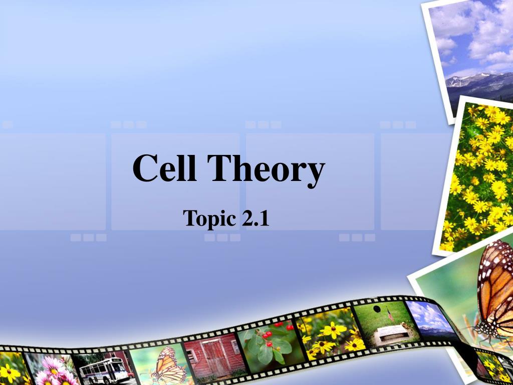 PPT - Cell Theory PowerPoint Presentation, free download - ID:4127706