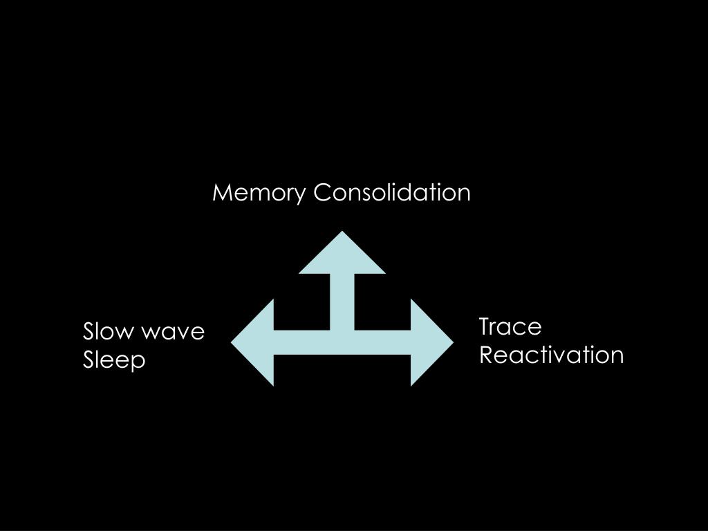 PPT - Memory Consolidation PowerPoint Presentation, free download - ID ...