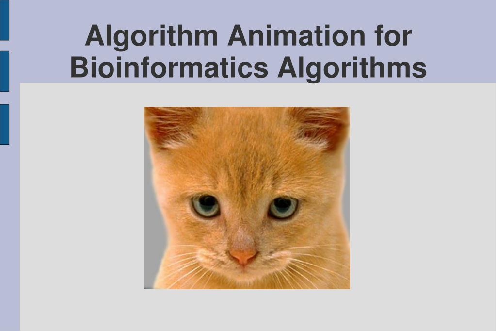 Ppt Algorithm Animation For Bioinformatics Algorithms Powerpoint Presentation Id4136521