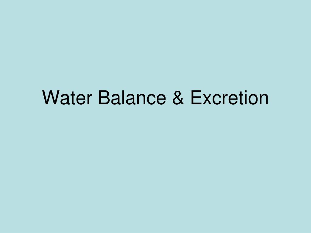 PPT - Water Balance & Excretion PowerPoint Presentation, free download ...