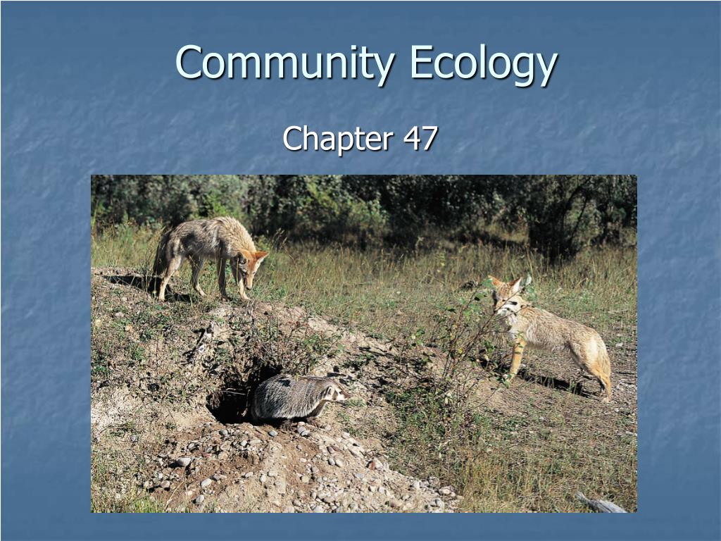 PPT - Community Ecology PowerPoint Presentation, free download - ID:4138747