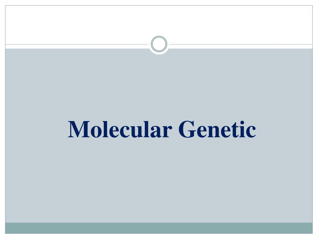 PPT - Molecular Genetic PowerPoint Presentation, free download - ID:4141332