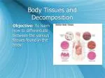 PPT - Body Decomposition PowerPoint Presentation, free download - ID ...