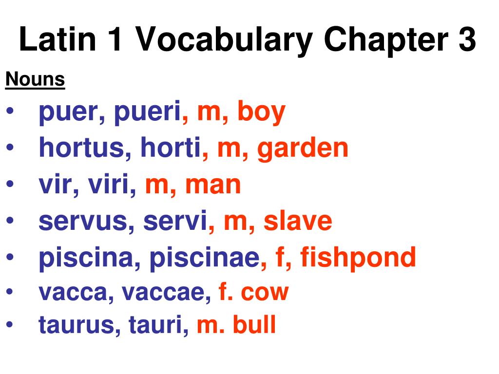 PPT - Latin 1 Vocabulary Chapter 3 PowerPoint Presentation, free ...