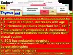 PPT - Endocrine System PowerPoint Presentation, free download - ID:6010423