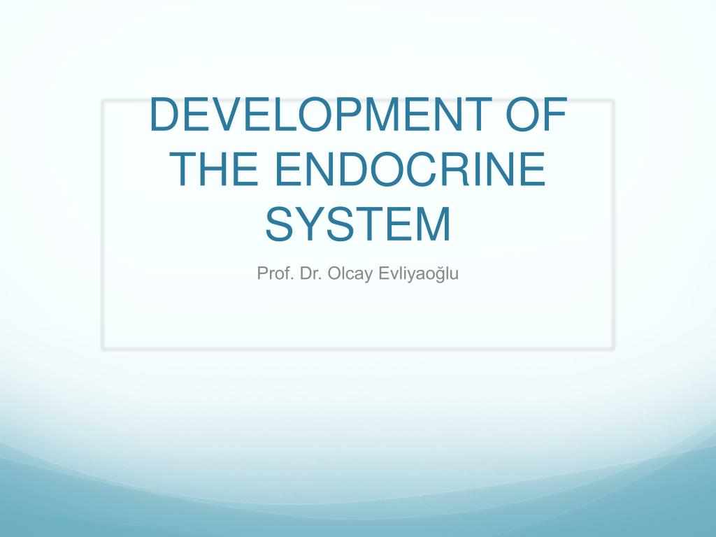 PPT - DEVELOPMENT OF THE ENDOCRINE SYSTEM PowerPoint Presentation, free ...