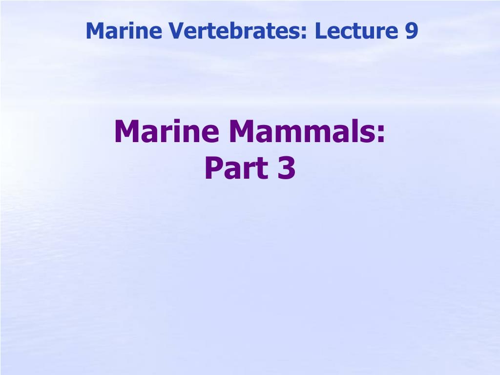 PPT - Marine Mammals: Part 3 PowerPoint Presentation, free download ...