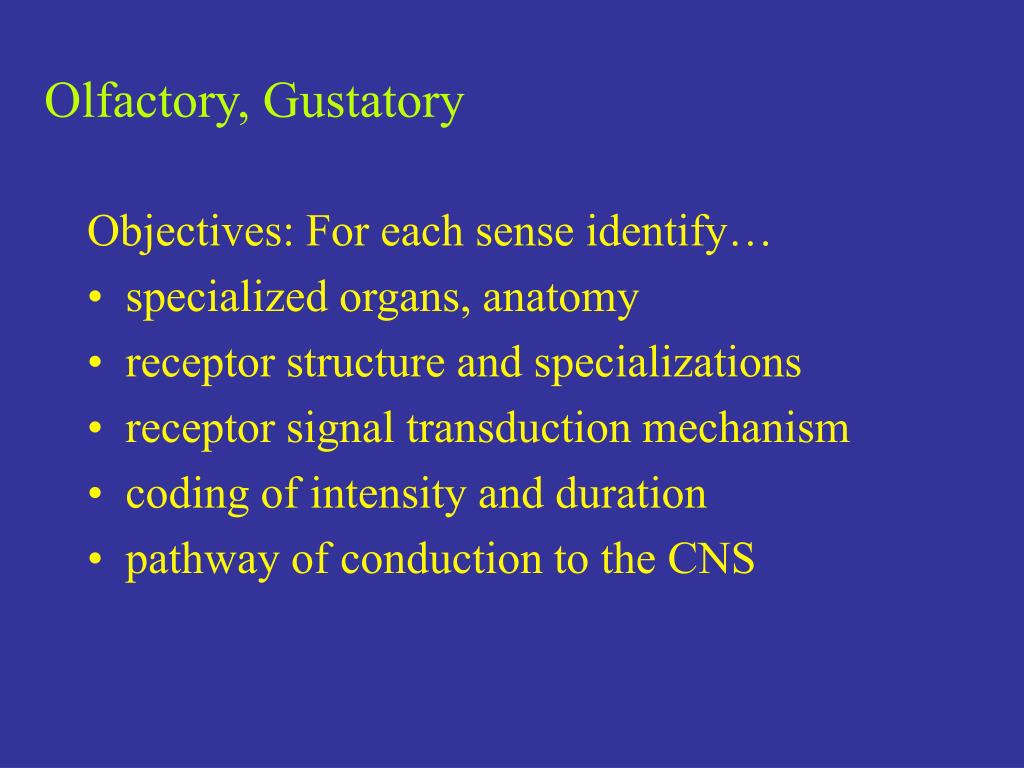 PPT - Olfactory, Gustatory PowerPoint Presentation, free download - ID ...
